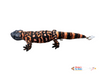 Gila Monster Stuffed Lizard Toy 24" – Christy’s Toy Outlet
